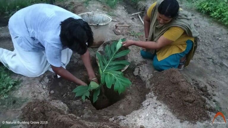 Part 1 Thannal Natural Building Grove