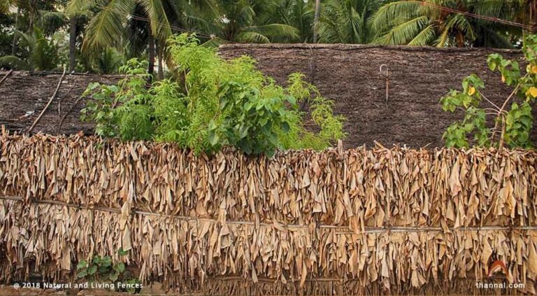 Natural and Living Fences