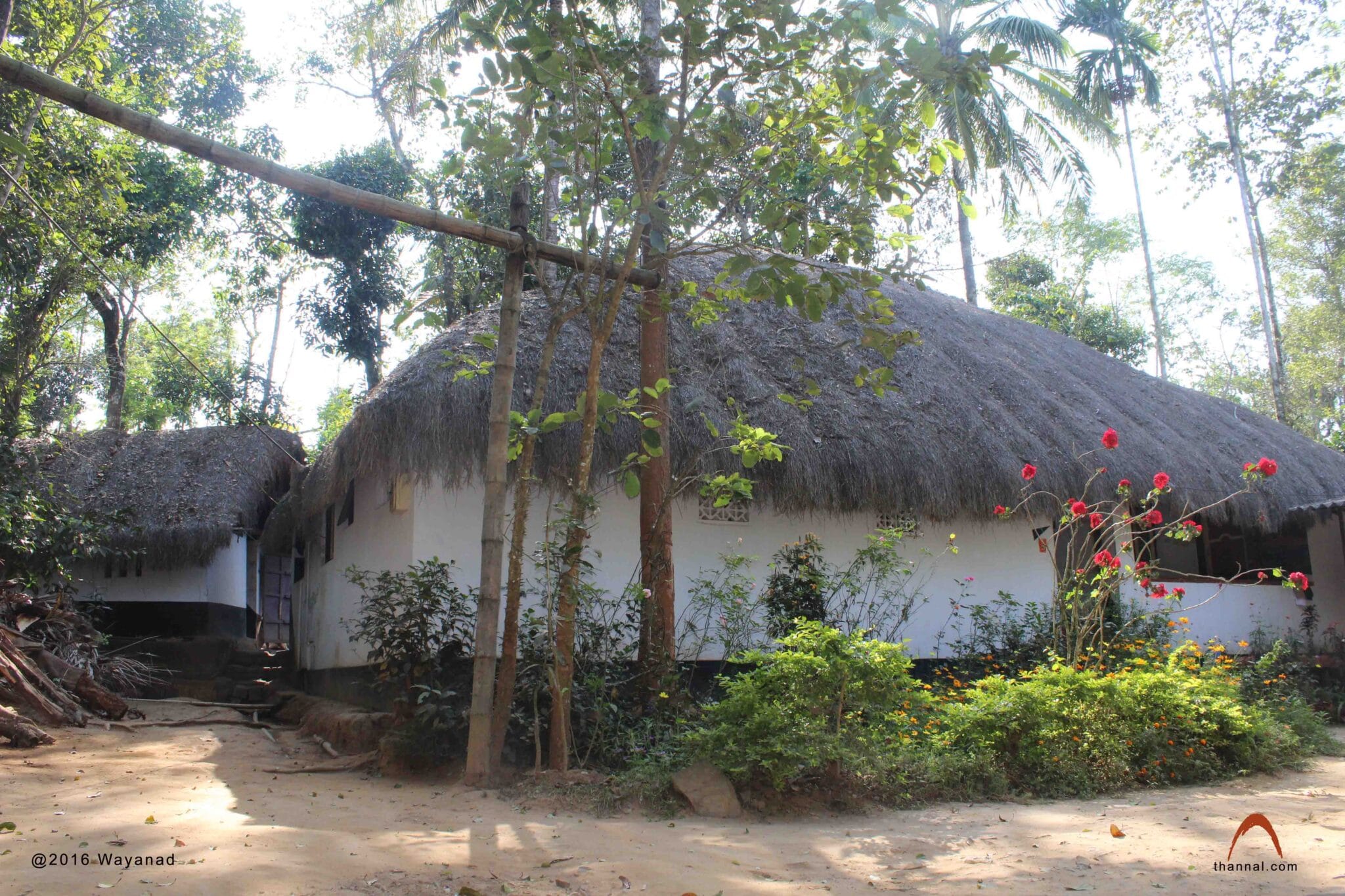 The forgotten earth homes of Wayanad