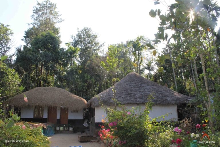 The forgotten earth homes of Wayanad