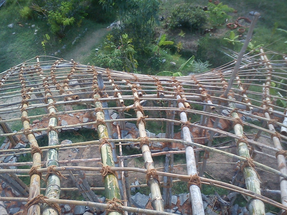 Flowing Palm Leaf Lean-To roof