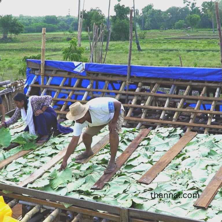 8 Flat Roofing Techniques for Natural Buildings You Need to Know
